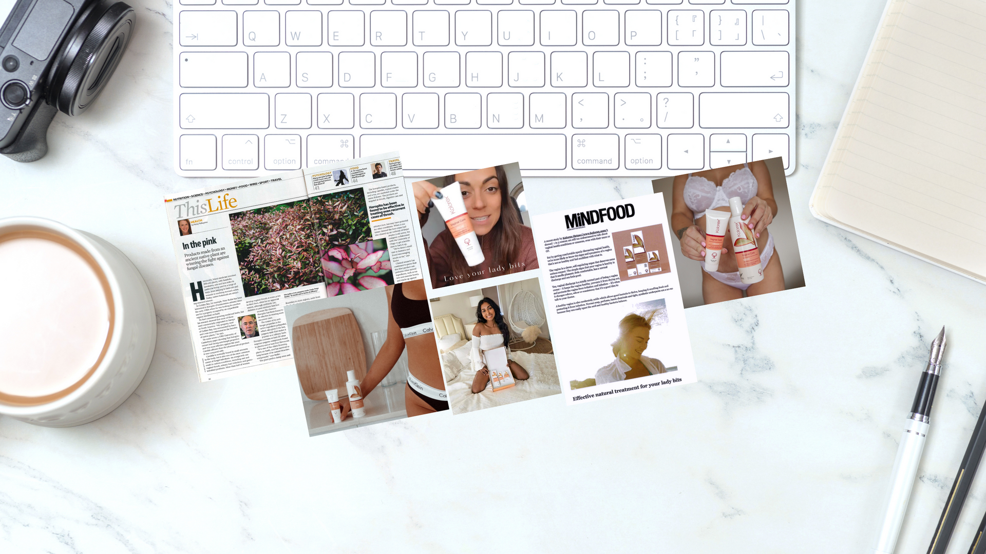 Work With Us – Kolorex